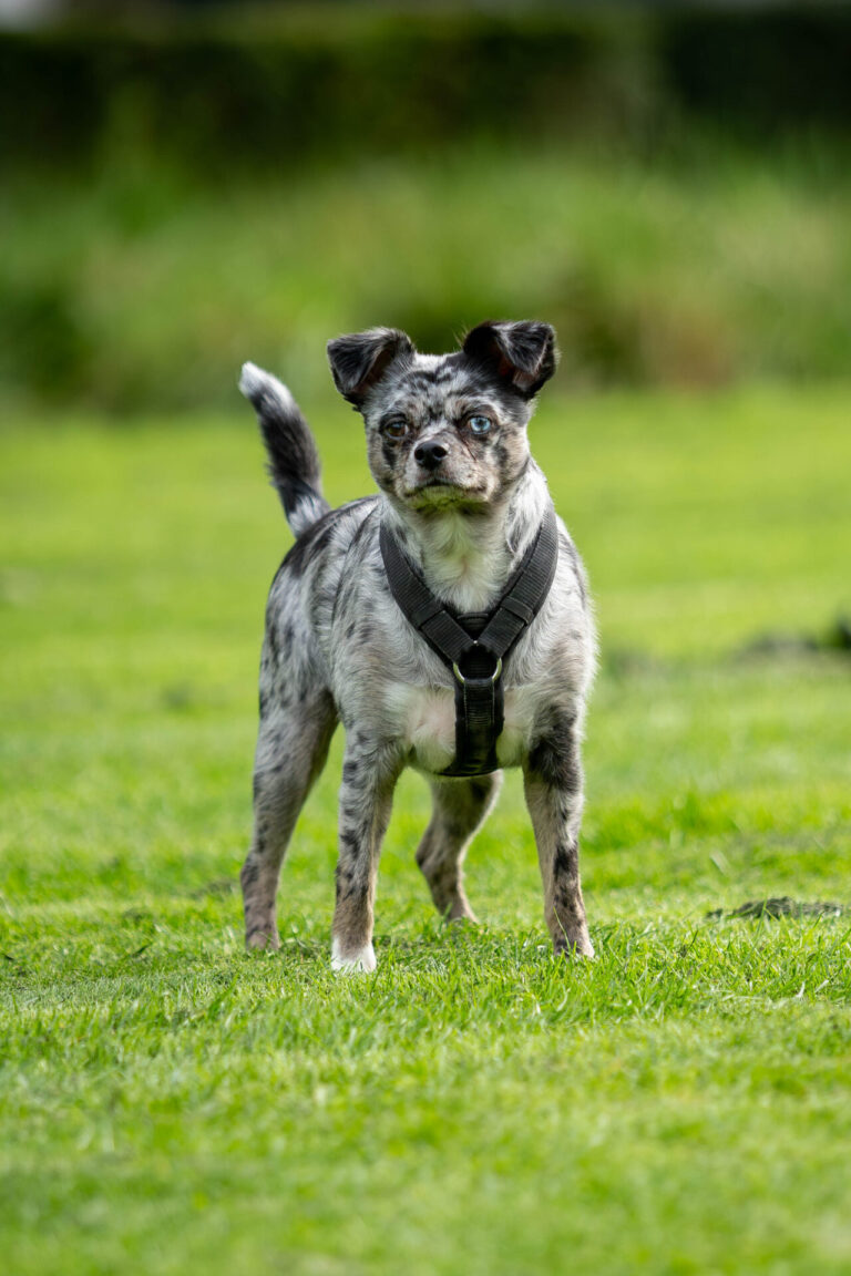 Over Ons | CFX Digital | The Video Agency